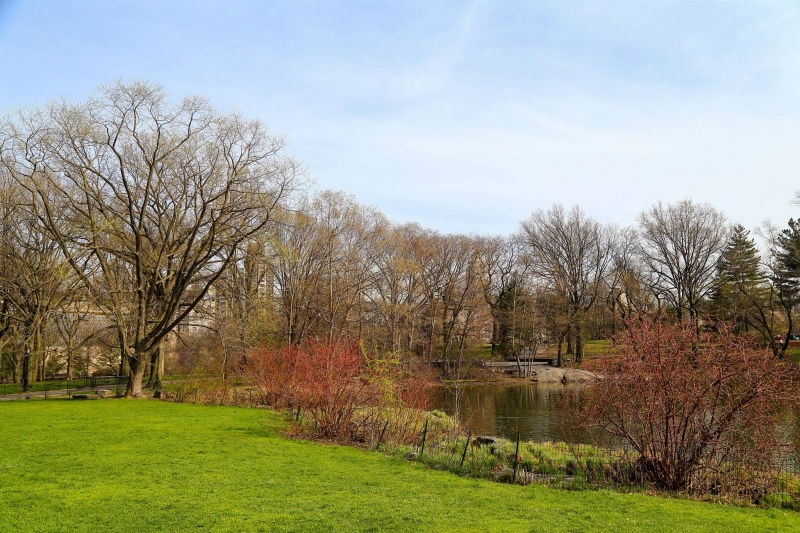 The Art Of Central Park - United States Press Agency News (USPA News)